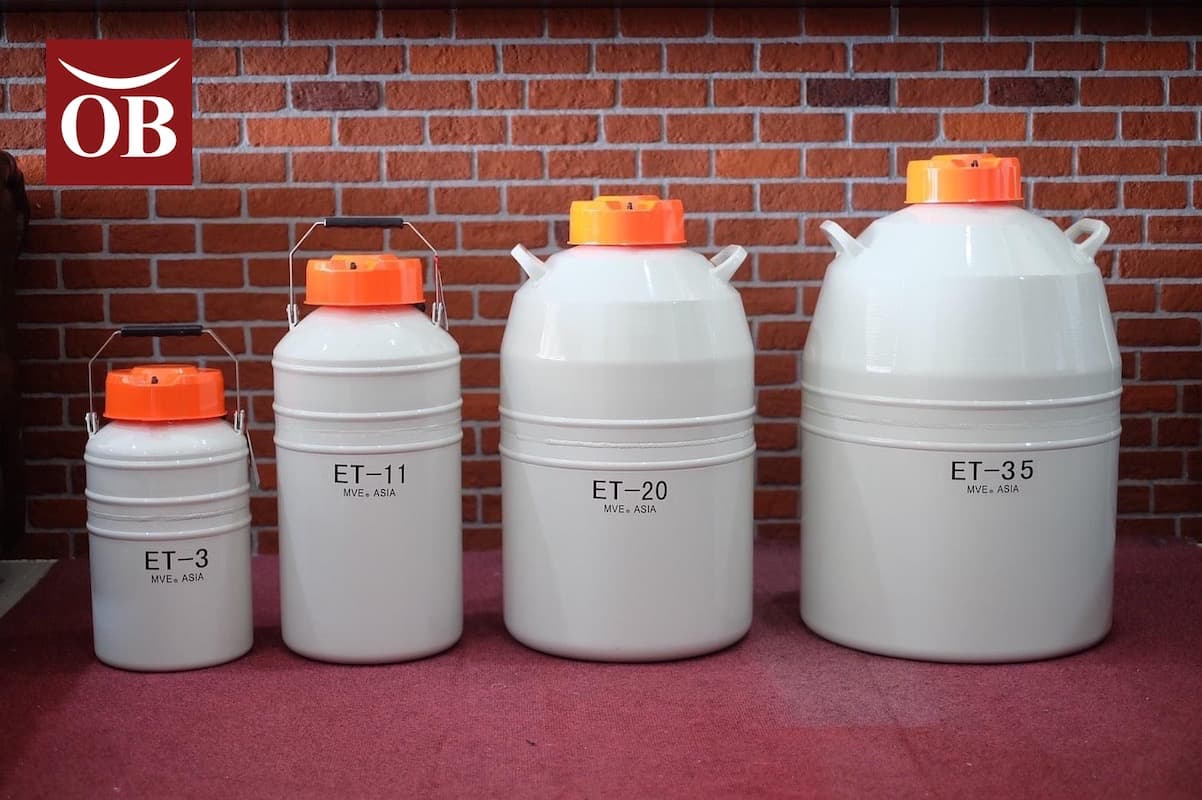 ធុងនីត្រូសែនម៉ាក MVE ET » OB LIVESTOCK